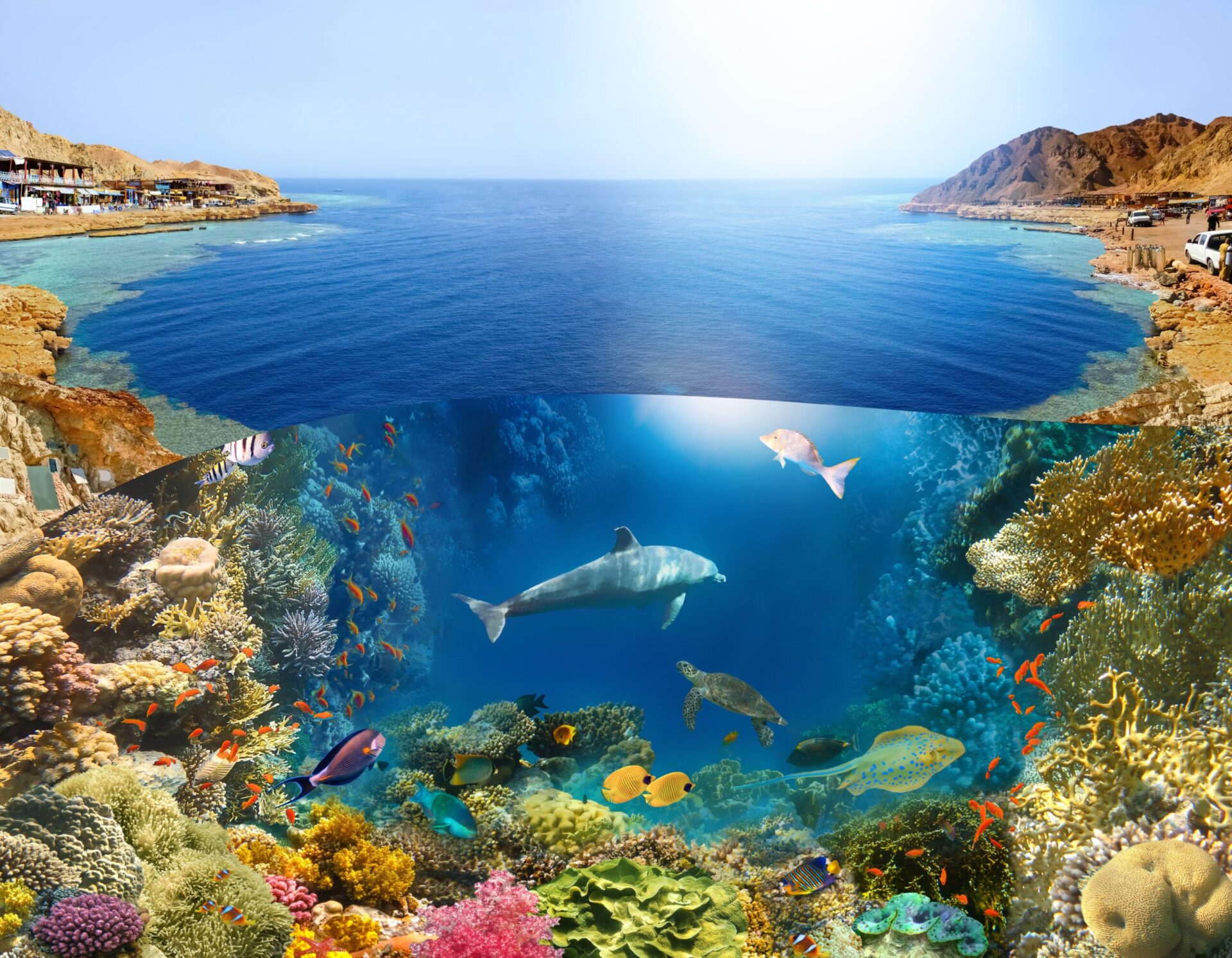 7 Days Pyramids and Open Water Diving in Dahab - Sunny Adventures